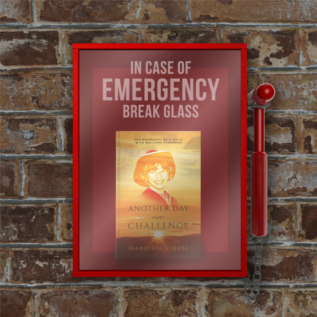 About the Book – Marjie Strebe – Author